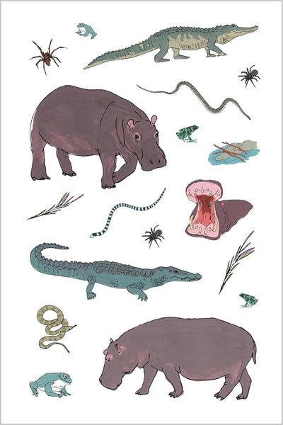 Wildlife Anatomy Sticker Book by Julia Rothman – North and Shore
