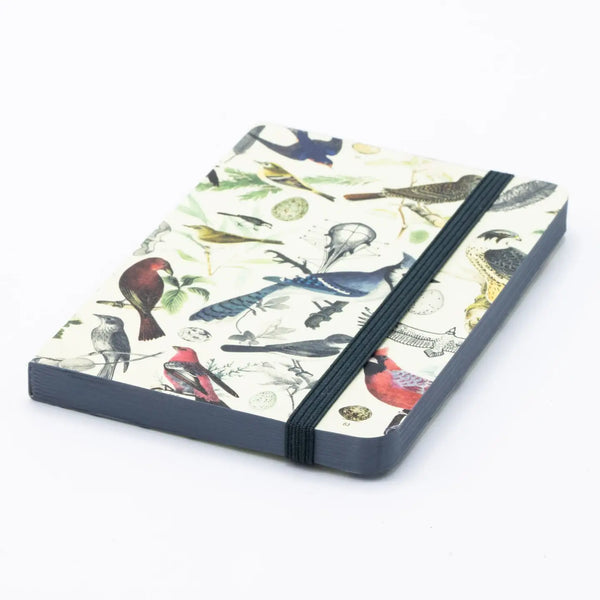 Birds & Feathers Observation Pocket Notebook – North and Shore